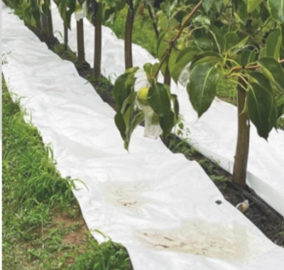 イノービス株式会社 フラッシュスパン不織布 ハイパックおよび建築資材 ライテックスの国内製造販売